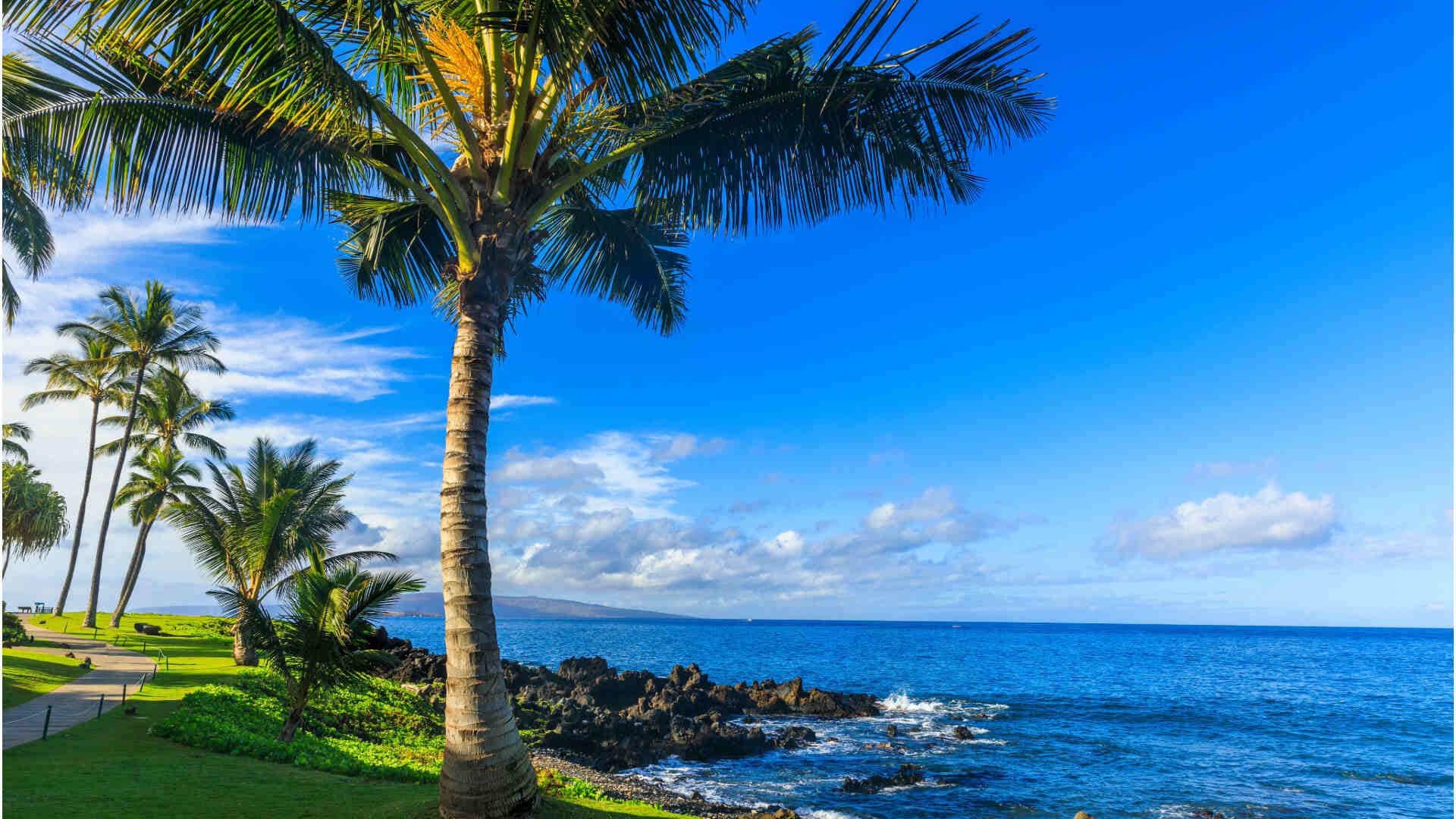 Living the Dream Through Off-Grid Solar Innovation - Maui Energy Advisors